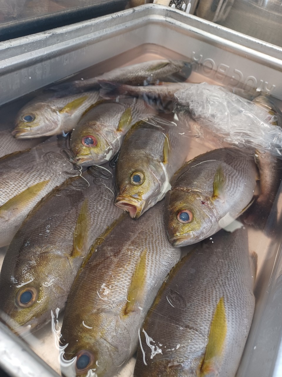 LIBERO A | 兵庫栄養振興会